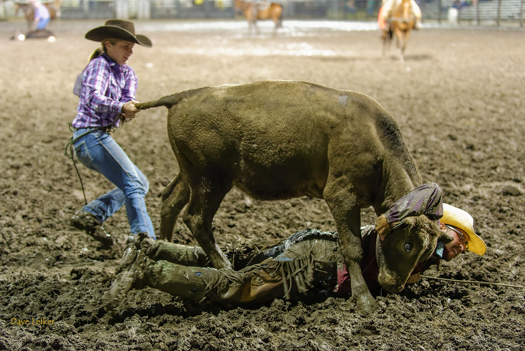 Ranching Rodeo in the Mud - Pioneer Bluffs