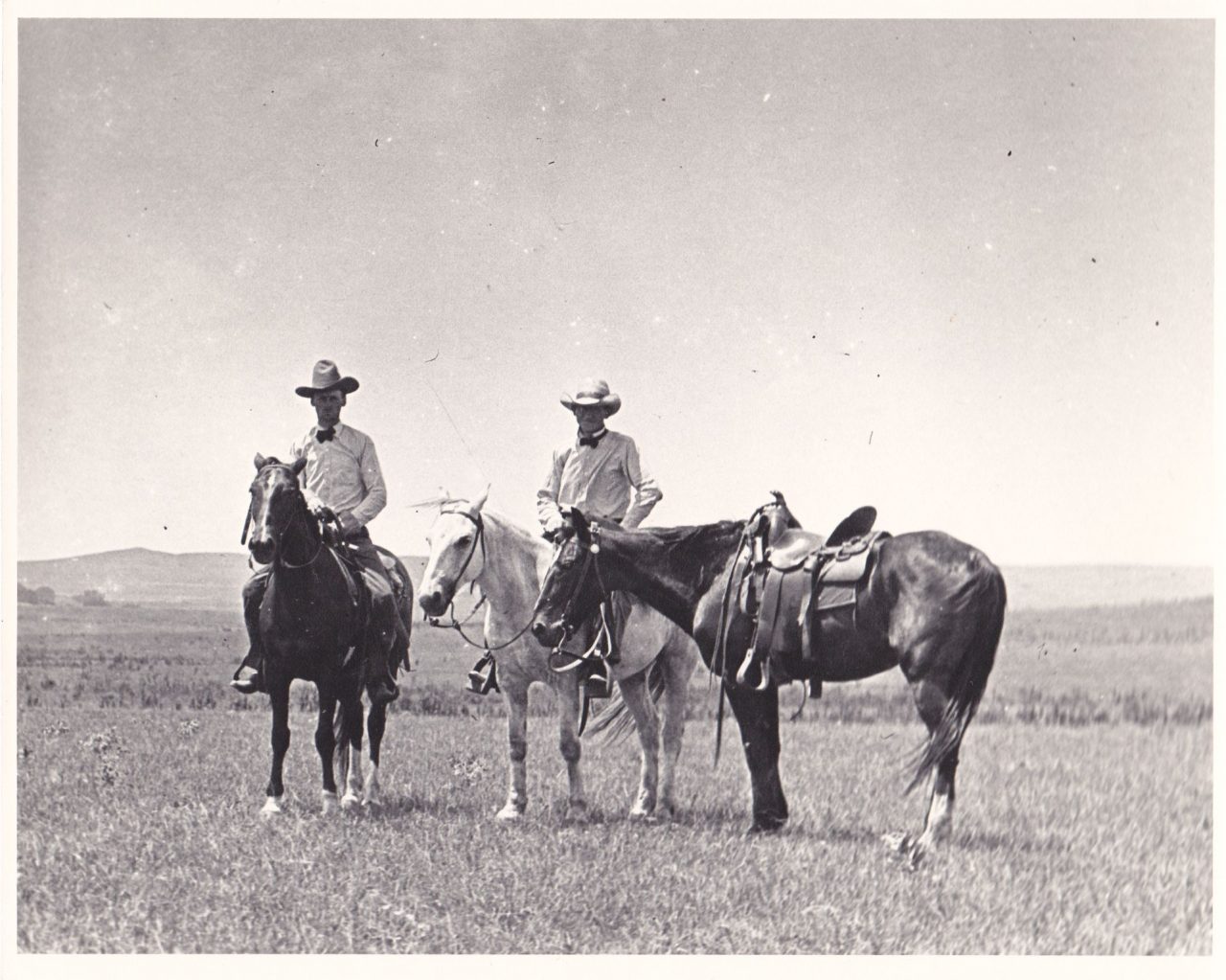 Ranching Galleries - Pioneer Bluffs