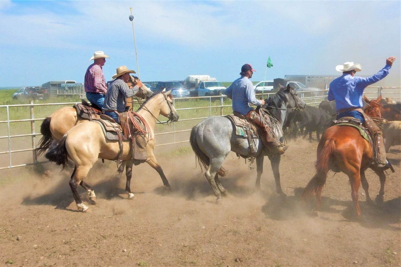 Day of the Cowboy (and Cowgirl) - 2021 - Pioneer Bluffs