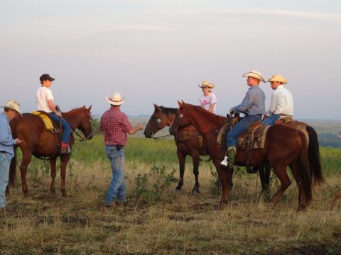 Ranching Galleries - Pioneer Bluffs